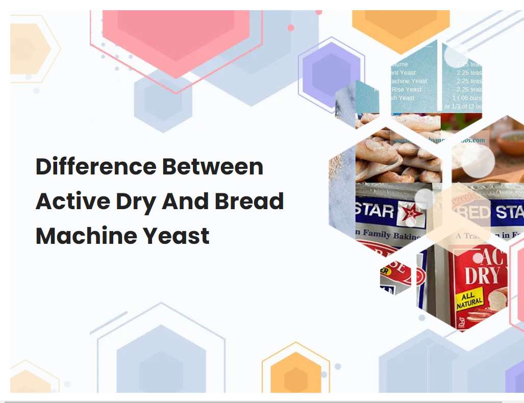 Difference Between Active Dry And Bread Machine Yeast | breadmach.com Difference Between Active Dry And Bread Machine Yeast | breadmach.com