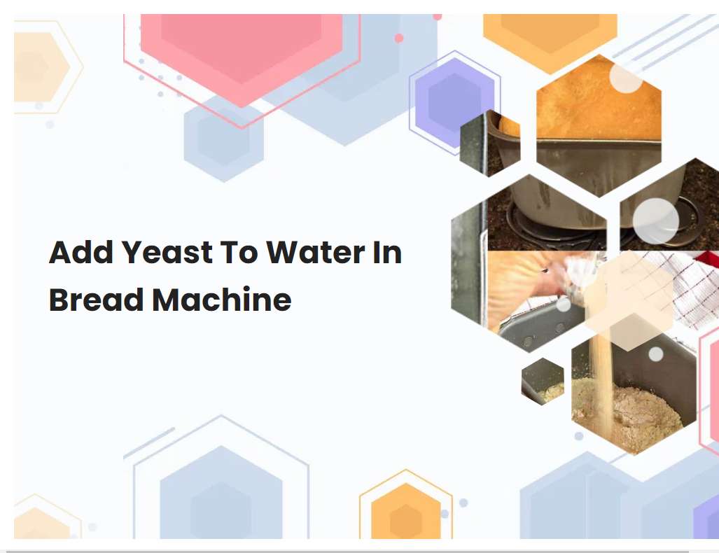 Add Yeast To Water In Bread Machine | breadmach.com