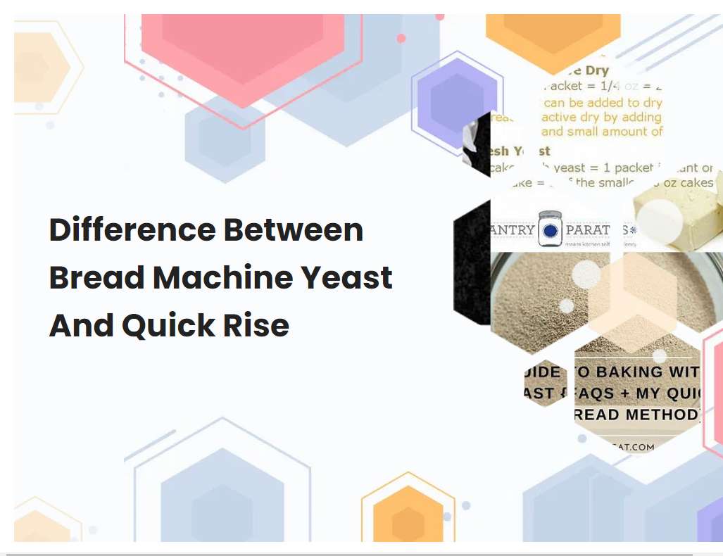 Difference Between Bread Machine Yeast And Quick Rise | breadmach.com Difference Between Bread Machine Yeast And Quick Rise | breadmach.com