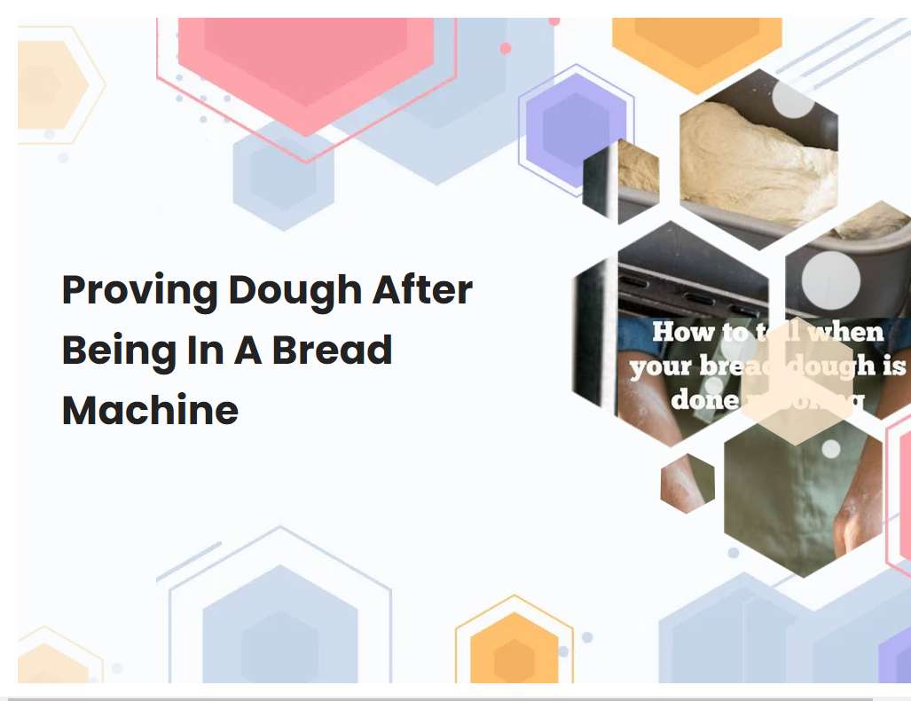 Proving Dough After Being In A Bread Machine | breadmach.com