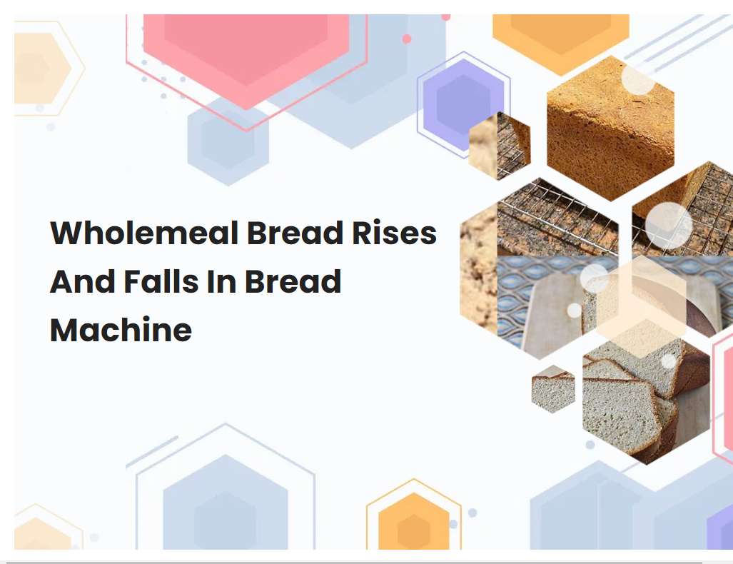 Wholemeal Bread Rises And Falls In Bread Machine | breadmach.com