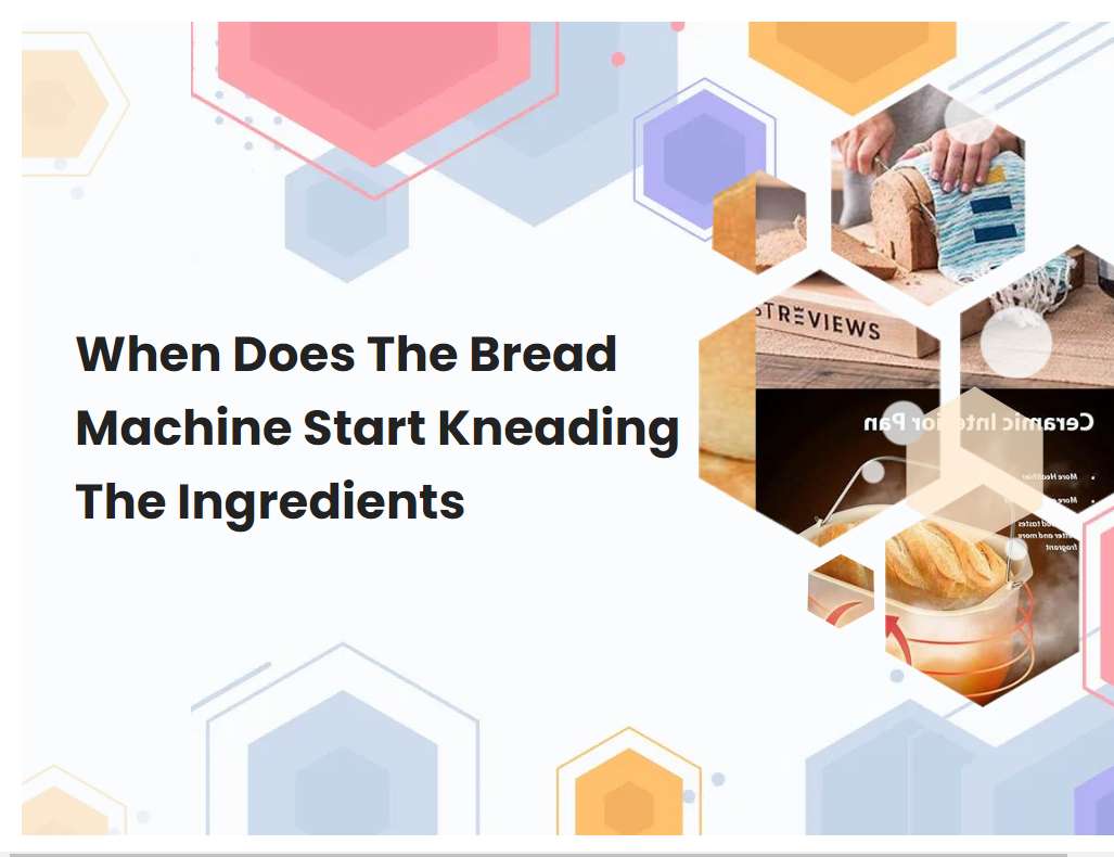 When Does The Bread Machine Start Kneading The Ingredients | breadmach.com