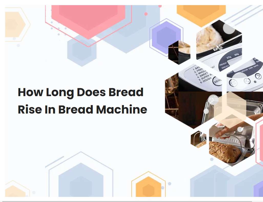 How Long Does Bread Rise In Bread Machine | breadmach.com