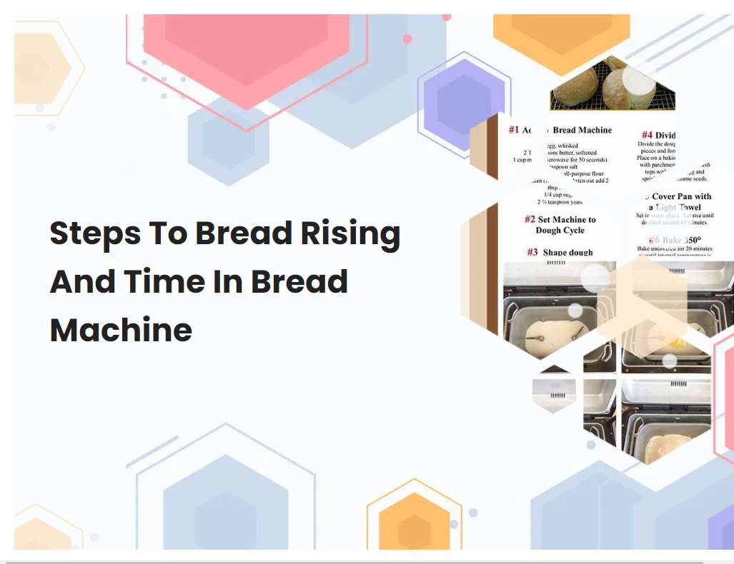 Steps To Bread Rising And Time In Bread Machine | breadmach.com